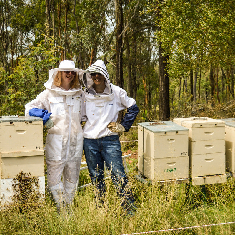 Beginner beekeeper: where should I start?? – Eight Acres Natural Living